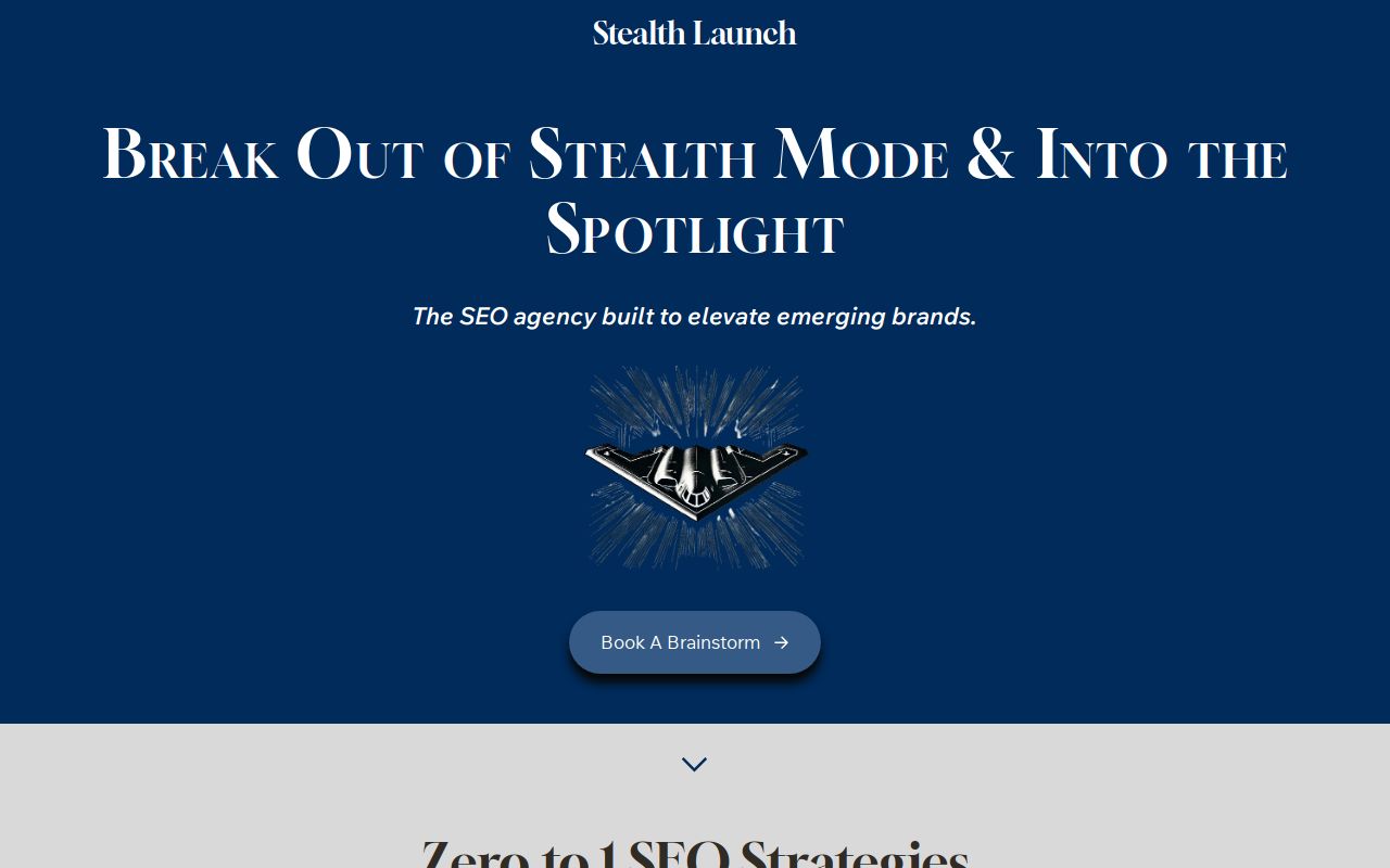 Stealth Launch SEO Agency